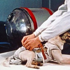 LAIKA, the dog – a sacrifice to science, on a one-way mission to space ...