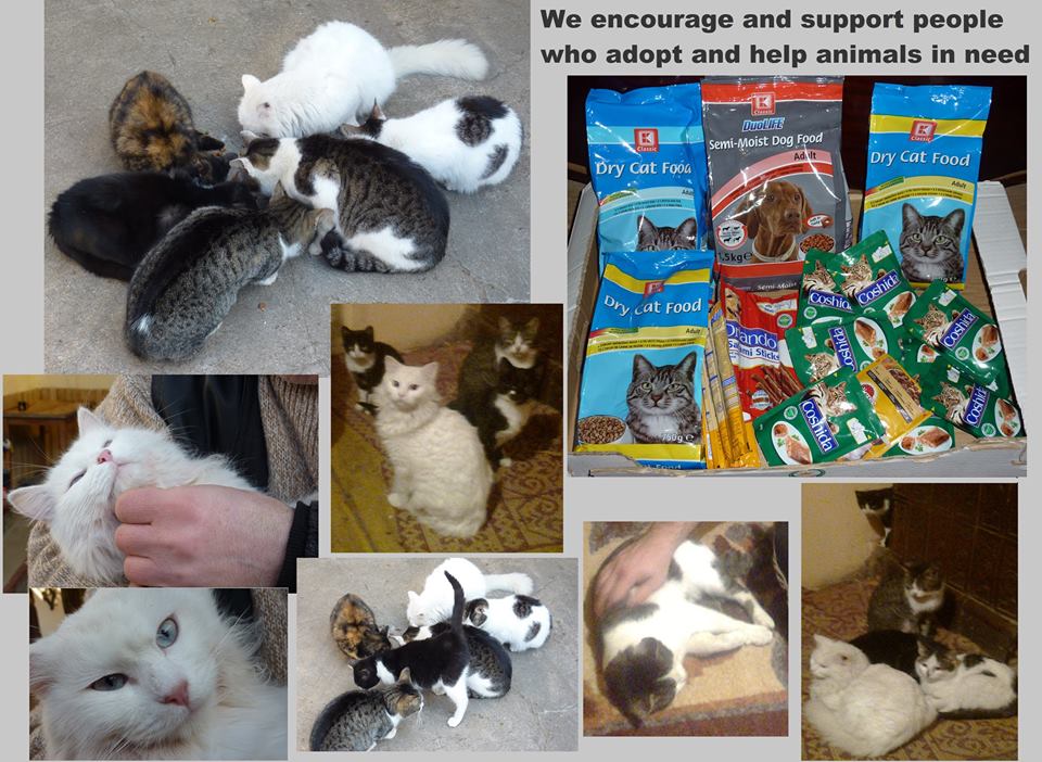 Helping those who help animals « Howl Of A Dog – Animal Rescue Organization